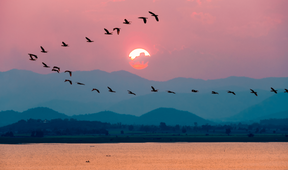 Smooth Transition To Success Migrating To Formitize Formitize