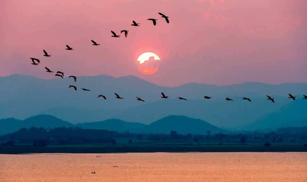 Smooth Transition To Success Migrating To Formitize Formitize